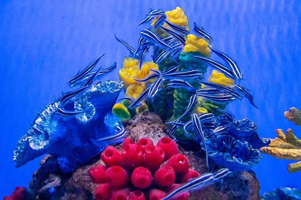 The Largest Oceanarium in the Philippines Is Now Open in Cebu - Iconic MNL