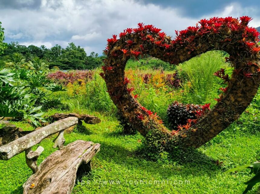 Discover the Mystical Beauty of Dolores, Quezon - Iconic MNL