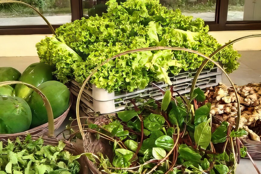 SM Prime Embarks on a Unified Waste Management Program for an # ...