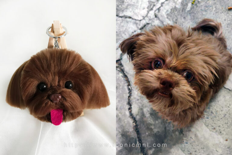 Gantsilyo by Elle: Transform Your Beloved Pet into a Custom Crochet ...
