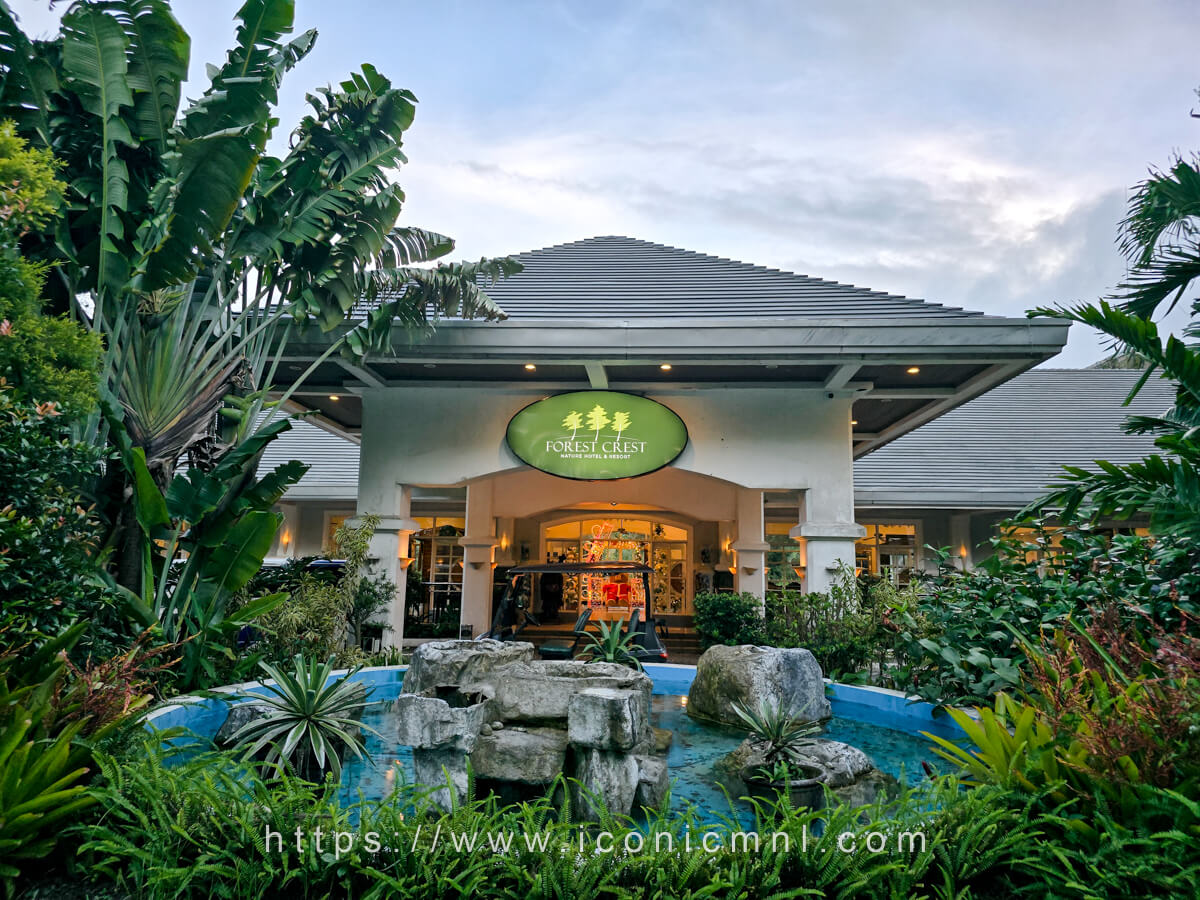 Magical Christmas and SENSES: Two Perfect Holiday Experiences at Forest ...