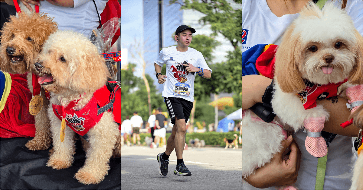 Mars Philippines Celebrates How Pet Adoption Can Change Two Lives